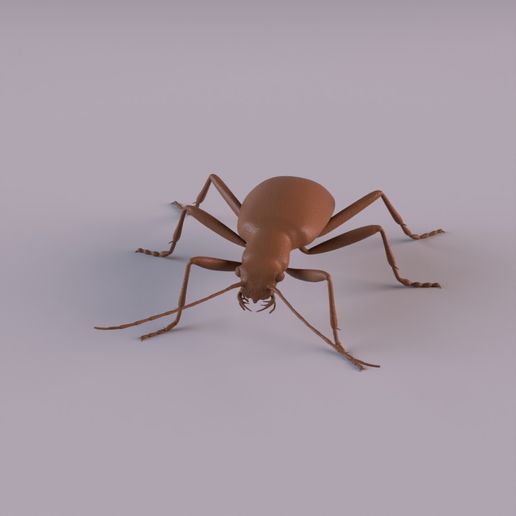 🪲 Bombardier beetle・ STL File for 3D printing・Cults