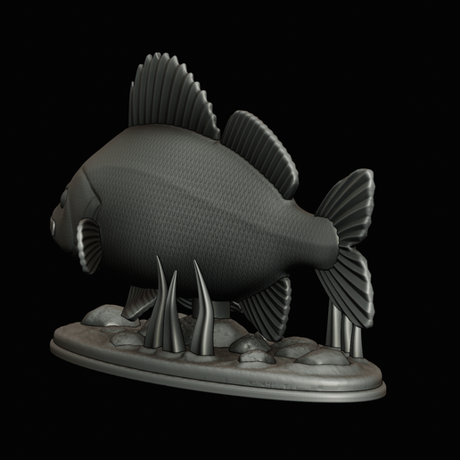 STL file fish perch / Perca fluviatilis statue underwater detailed ...