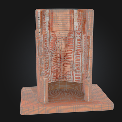 STL file 3D Microanatomy Model of Digestive System 🩻 ・3D printing model ...