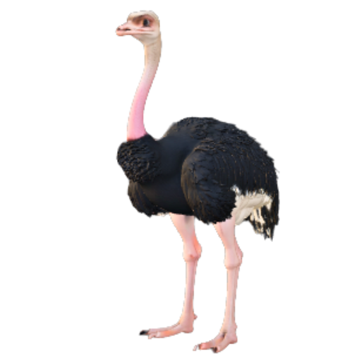 STL file Vibrant Cartoon Ostrich 🐉 ・3D printer design to download・Cults