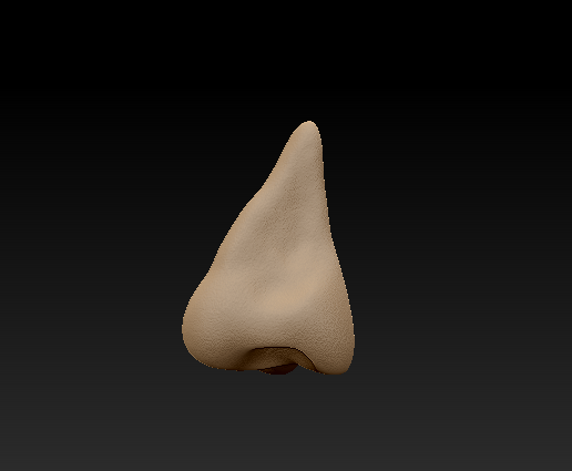 nose 3d
