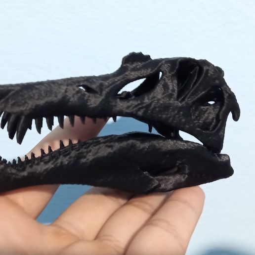 💀 Spinosaurus aegyptiacus skeleton v1,v2 and version JP3 model 3d print ...
