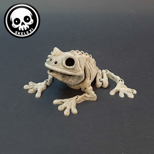 💀 Flexi Skeleton Frog・ STL File for 3D printing・Cults