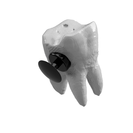 STL file Natural Tooth jibbitz 🦷 ・3D print object to download・Cults