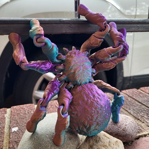 Magnetic Spider 🧲🧲🧲・ 3D File for 3D printing・Cults