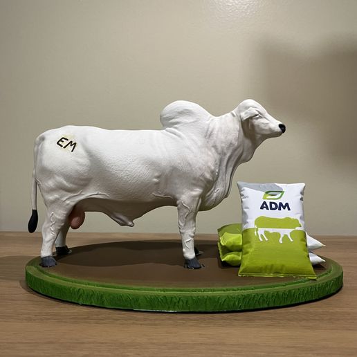 🐂 Nelore Cattle - Nelore Bull・3D Print with the Elegoo Saturn 3 Ultra ...