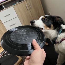 3D printing Ultimate Disc Dog / Frisbee for TPU 3d Print • made with Cr ...