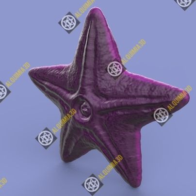 🦹 Starro (+starro mask)・ OBJ file for ・Cults
