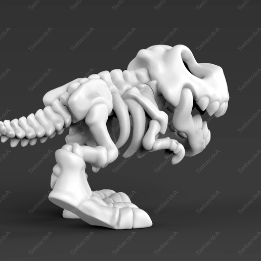 🦖 Cute T-REX Skeleton・ STL File for ・Cults