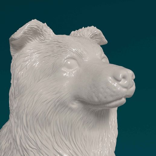 🐕 Mini Australian Shepherd・ STL File for 3D printing・Cults