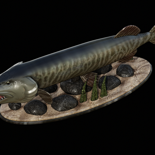 🐠 fish pike muskellunge muskie / Esox masquinongy statue underwater ...