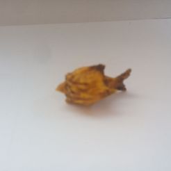 2.1k search results for 3D models to 3D print with the keyword(s) “fish ...