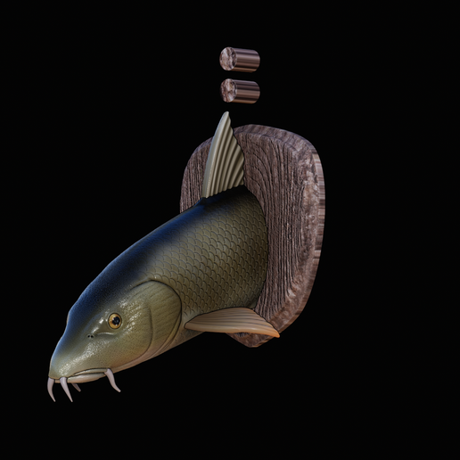 🐠 fish Common barbel / Barbus barbus head trophy woodbase statue ...