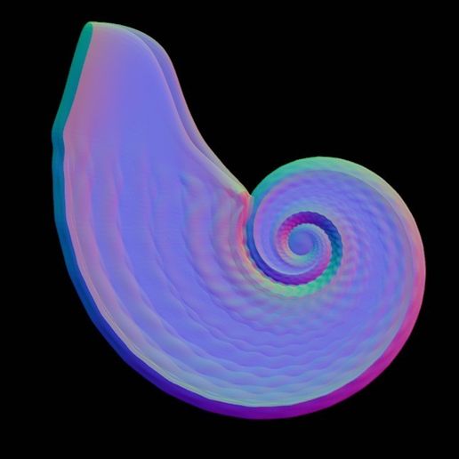 STL file NAUTILUS SHELL 1 🐚 (OBJ)・3D printing design to download・Cults