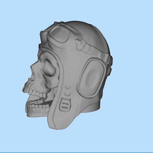 💀 STL printable Aviator skull and Eddy head for Wild Willie Driver KIT ...