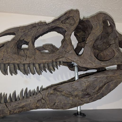💀 Allosaurus skull・3D Print・Cults