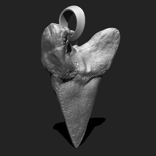 🦈 Shark Tooth Fossil - 3D Print Pendant・ 3D File for ・Cults
