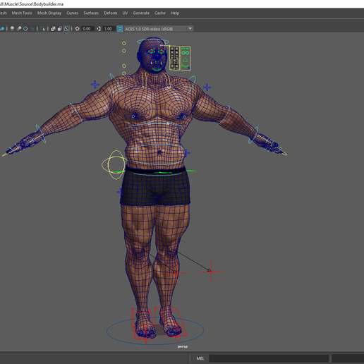 3D file Realistic Male Bodybuilder 3D HQ Low-poly 3D model ♂️ ・3D ...