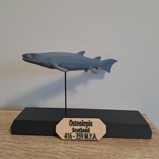 🐠 Life-size Osteolepis Model - Extinct Devonian Fish - Dinosaur - With ...