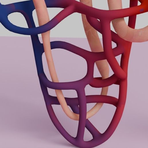 🩸 Human Nephron & Renal Blood Flow Model – Kidney Microanatomy (3D ...