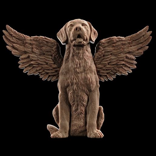 winged dog