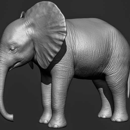👶 Wild Baby animal collection - 5 animals・ 3D File for 3D printing・Cults