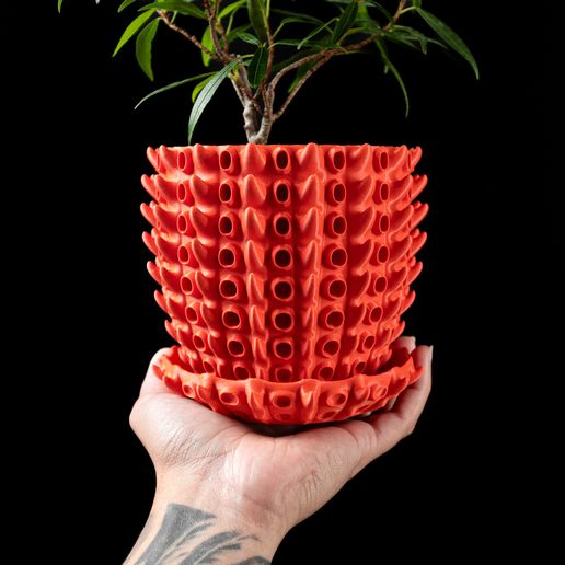 STL file Barnacle Planter Pot by MODERN MACHINE 🪴 ・3D printing design ...