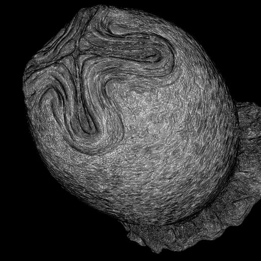 STL file 3D PRINTABLE ALIEN EGG OVOMORPH 1979 WITH BASE 👽 (OBJ)・3D ...