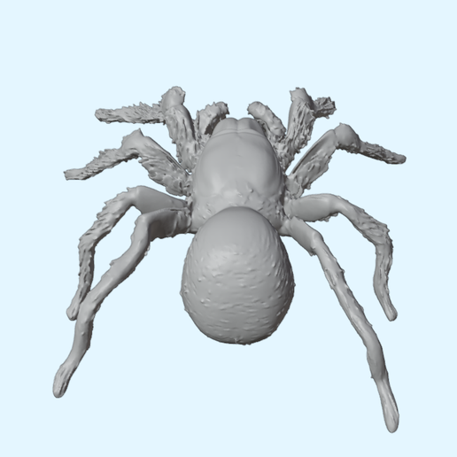 🕷️ Realistic Tarantula・ STL File for 3D printing・Cults