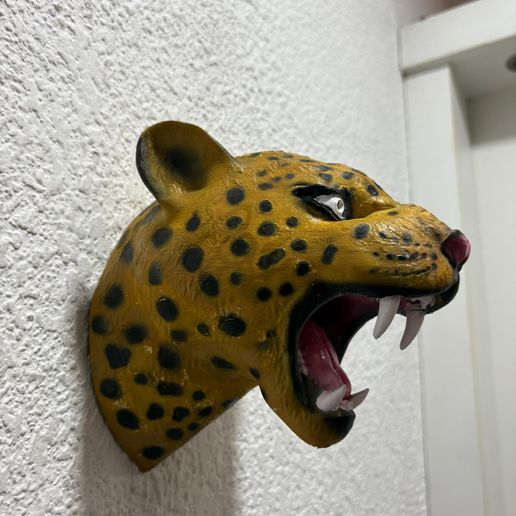 leopard head roaring'