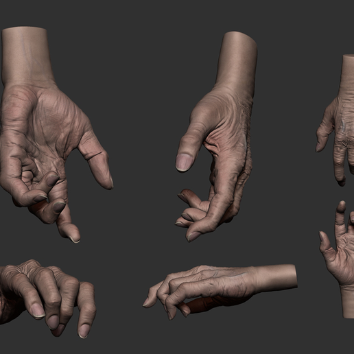 hand 3d reference
