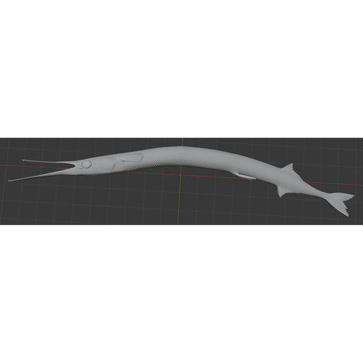 🐠 Garfish・ STL File for 3D printing・Cults