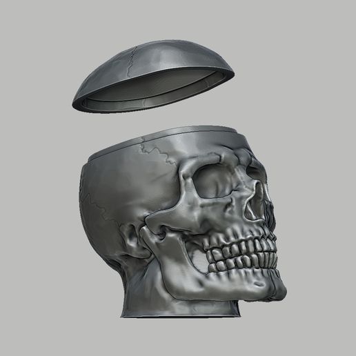 💀 skull container, skull head container,human skull, container, Perfect ...