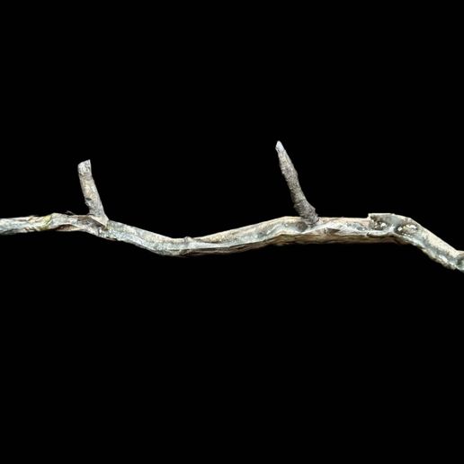 Free STL file Hunt Showdown Stick 🎲 ・Template to download and 3D print ...