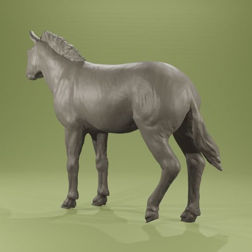🐎 Prehistoric horse Hipparion Equidae prehistoric horse equine extinct ...