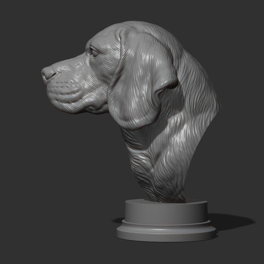 🐕 Beagle dog bust・ STL File for 3D printing and CNC machining - Laser ...