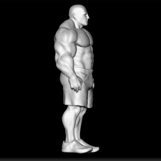 arquivo STL bodybuilder - bodybuilder man muscular 👨 ・modelo para ...