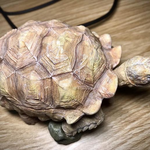 STL file AGGRESSIVE TORTOISE ️‍🔥 ・3D printer design to download・Cults