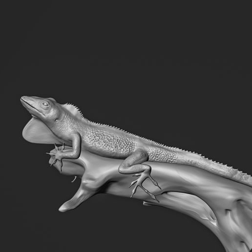 STL file Anolis aquaticus 🗿 (OBJ)・3D print design to download・Cults