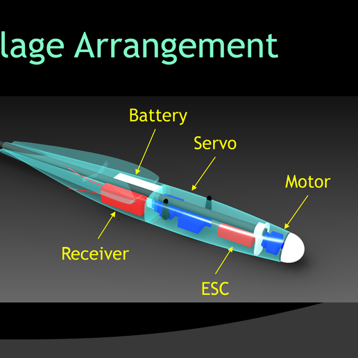 🐛 "Bug Lite" - 3D Printed Electric DLG (F5K)・Free 3D File for 3D ...