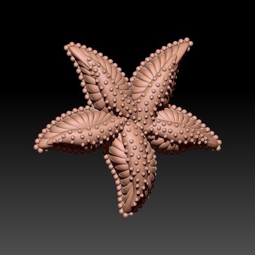 STL file Starfish Model 🎨 ・3D printable model to download・Cults