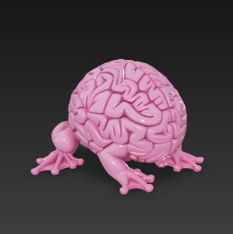 🧠 Brain Frog・ STL File for 3D printing・Cults