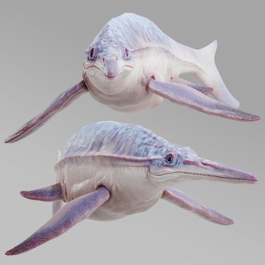 🐉 Shonisaurus popularis COLLECTIBLE PRINTABLE PALEOART・ OBJ File for 3D ...