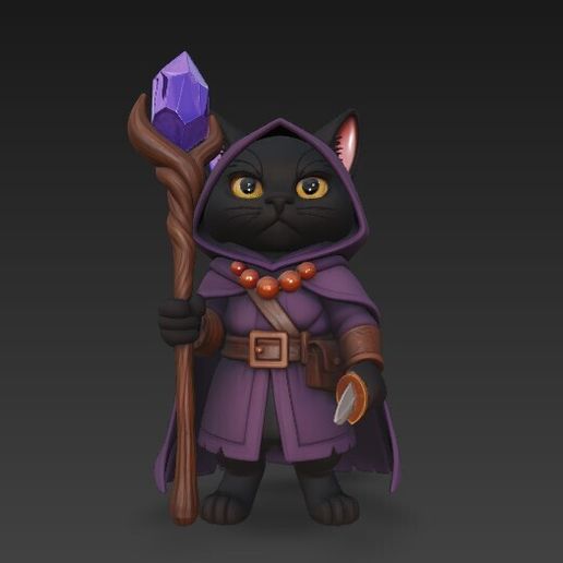 magic cat dnd