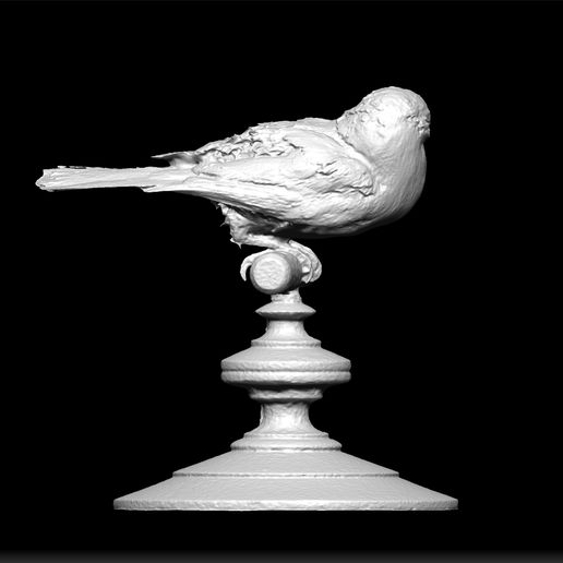🐦 Realistic Sparrow 3D Model - Printable Sparrow STL - Sparrow Bird 3D ...