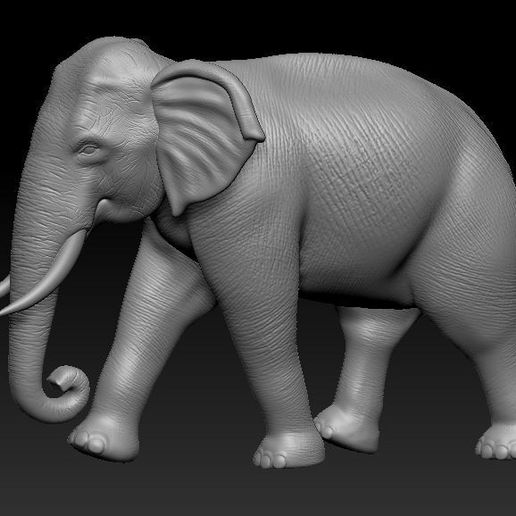 🐘 Elephant 3d model for Jewelry CAD Design・ STL File for 3D printing ...