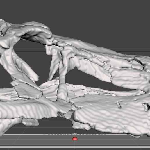 💀 Saurosuchus Skull・Free STL File for 3D printing・Cults