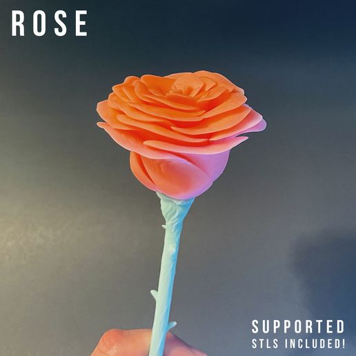 🌹 Rose・Free STL File for ・Cults