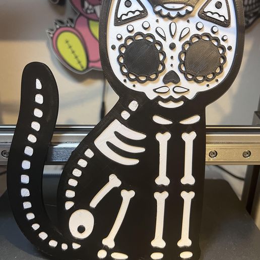 sugar scull cat