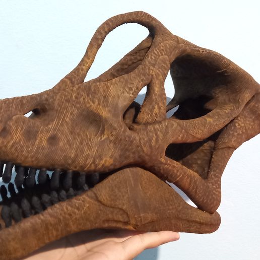 💀 Brachiosaurus skull 3d print・ STL File for 3D printing・Cults